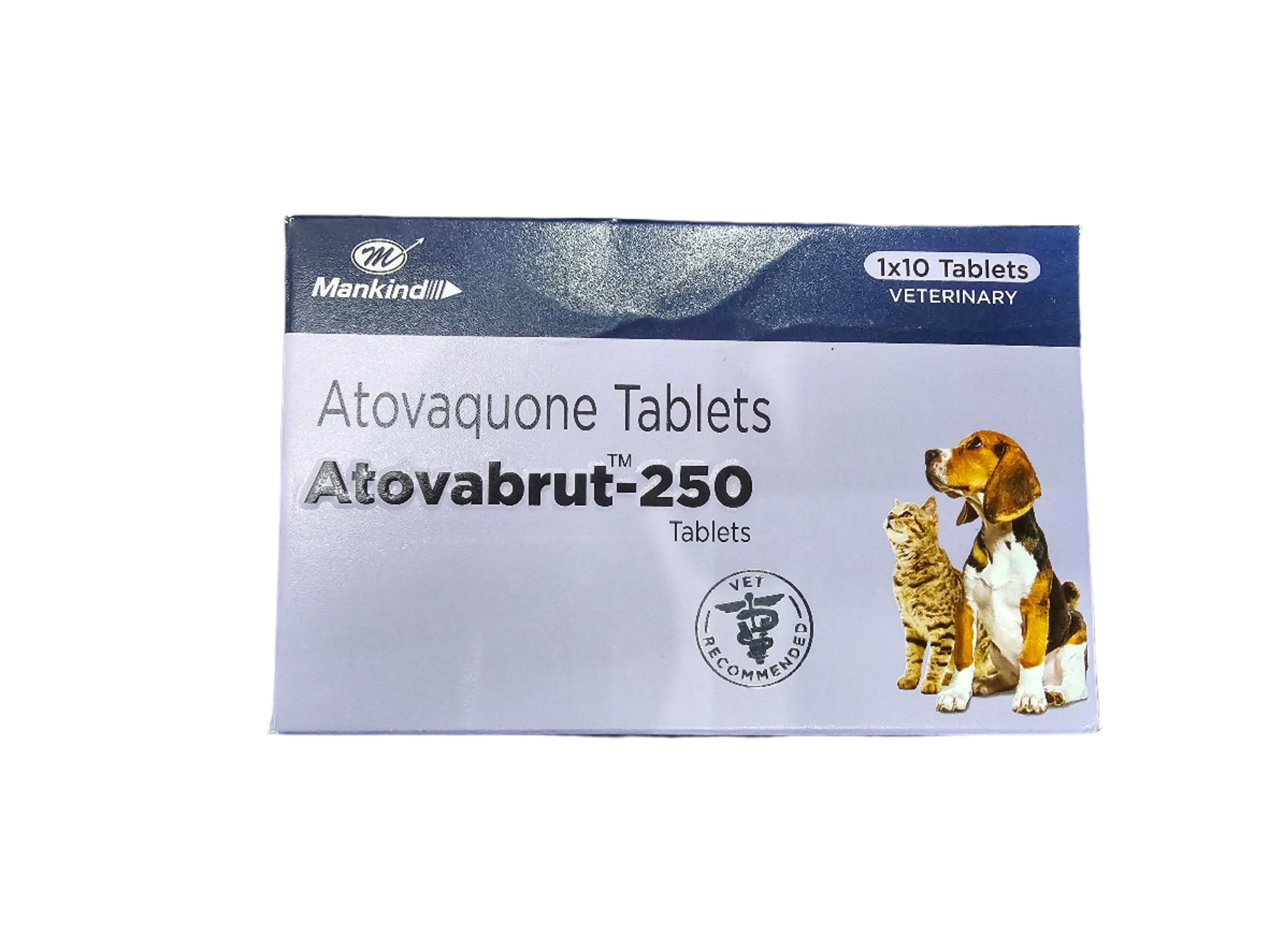 Atovaquone Atovabrut tablets 250mg for dogs & cats, 10 tabs – Pet Central