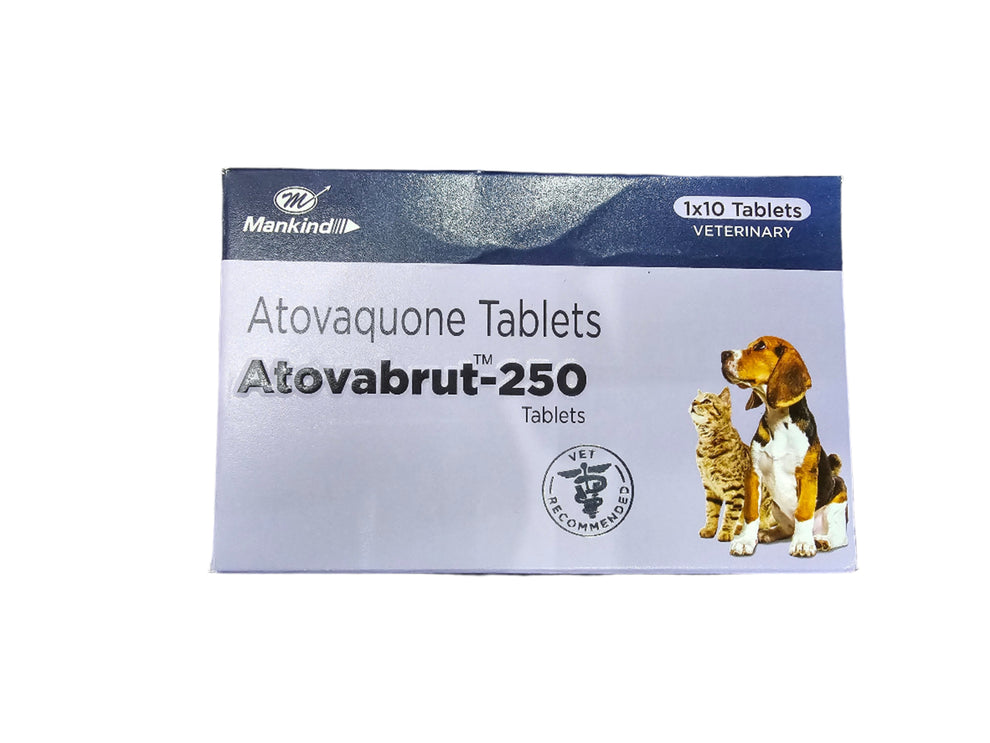 Atovaquone Atovabrut tablets 250mg for dogs & cats, 10 tabs – Pet Central