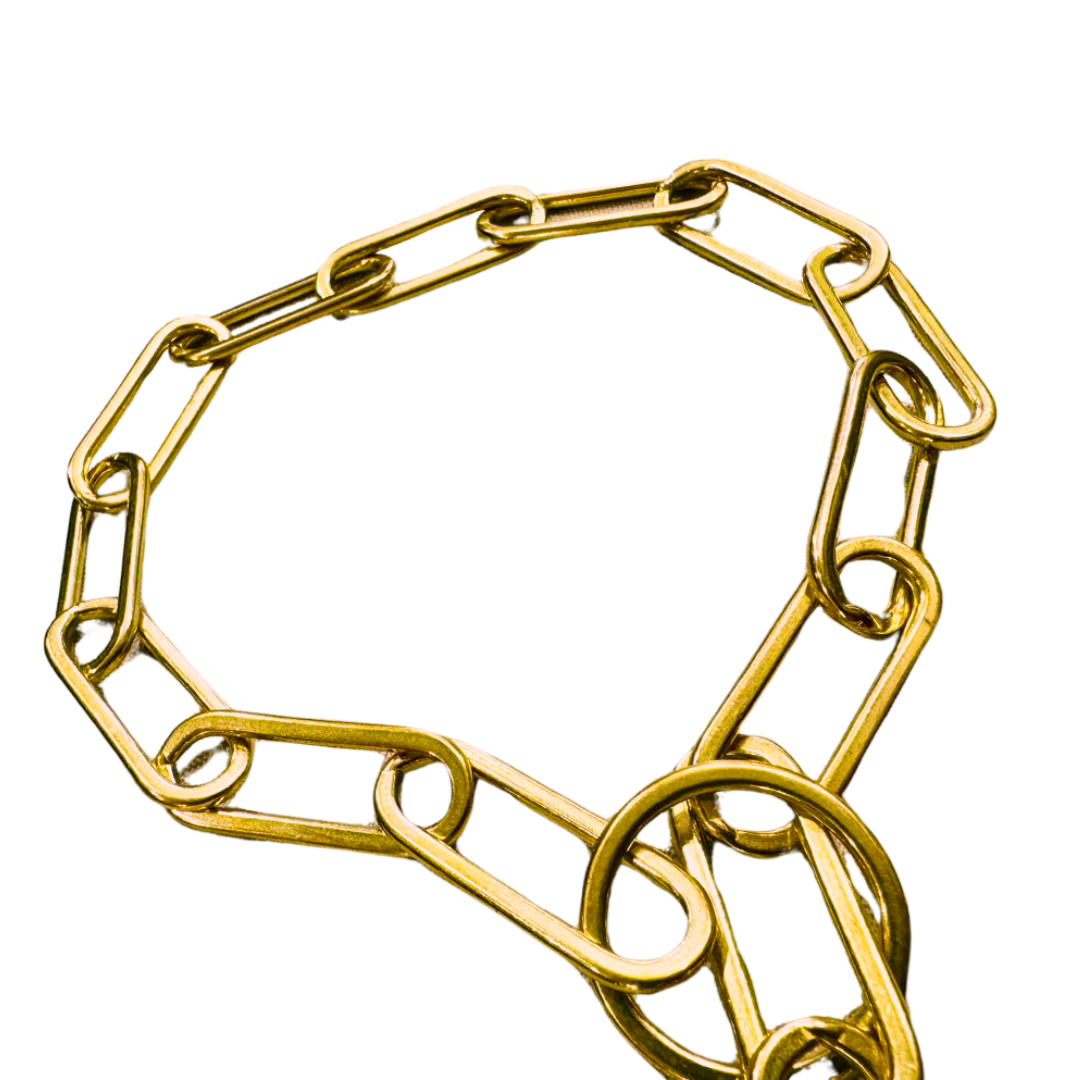 PETCENTRAL® Brass Long Link Pressed Choke Chain for Dog Training – Pet ...