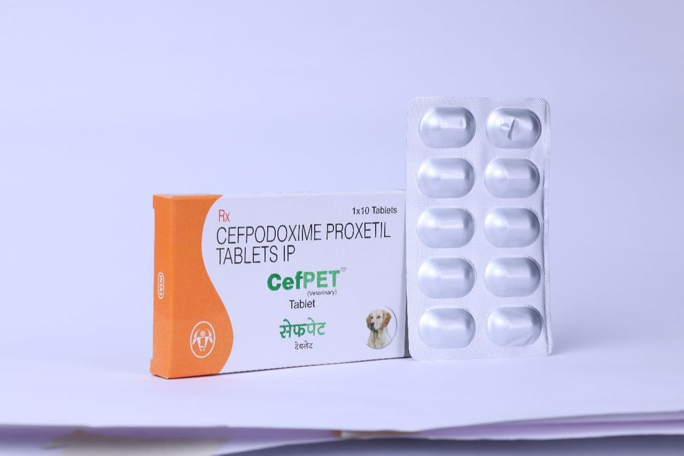 CEFPET Tablets – Pet Central
