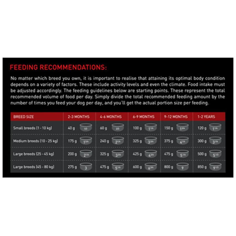 Focus Puppy – Pet Central