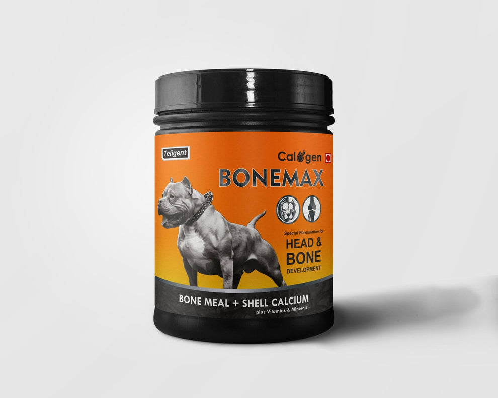 Bonemax Head & Bone Supplement 400 gm - Pet Central